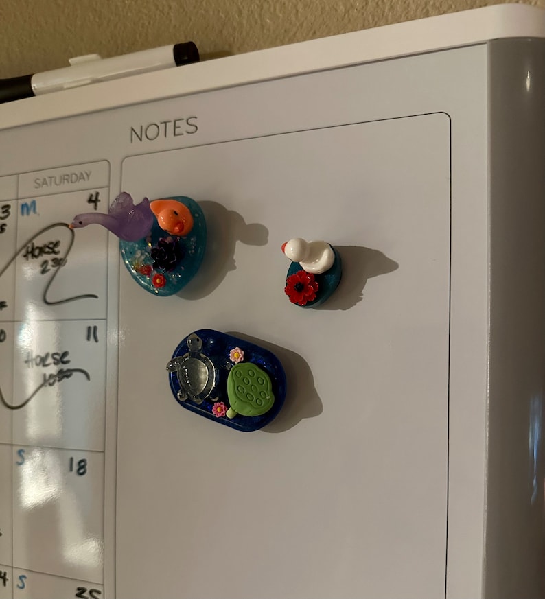 MYSTERY Axolotl Magnets / SURPRISE Desk Pet / Small and Large / Novelty ...