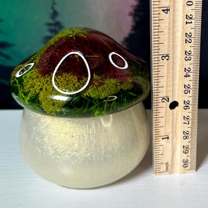 Mushroom Jar / Trinket Box / Cottage Core Decor / Handmade Kitschy ...