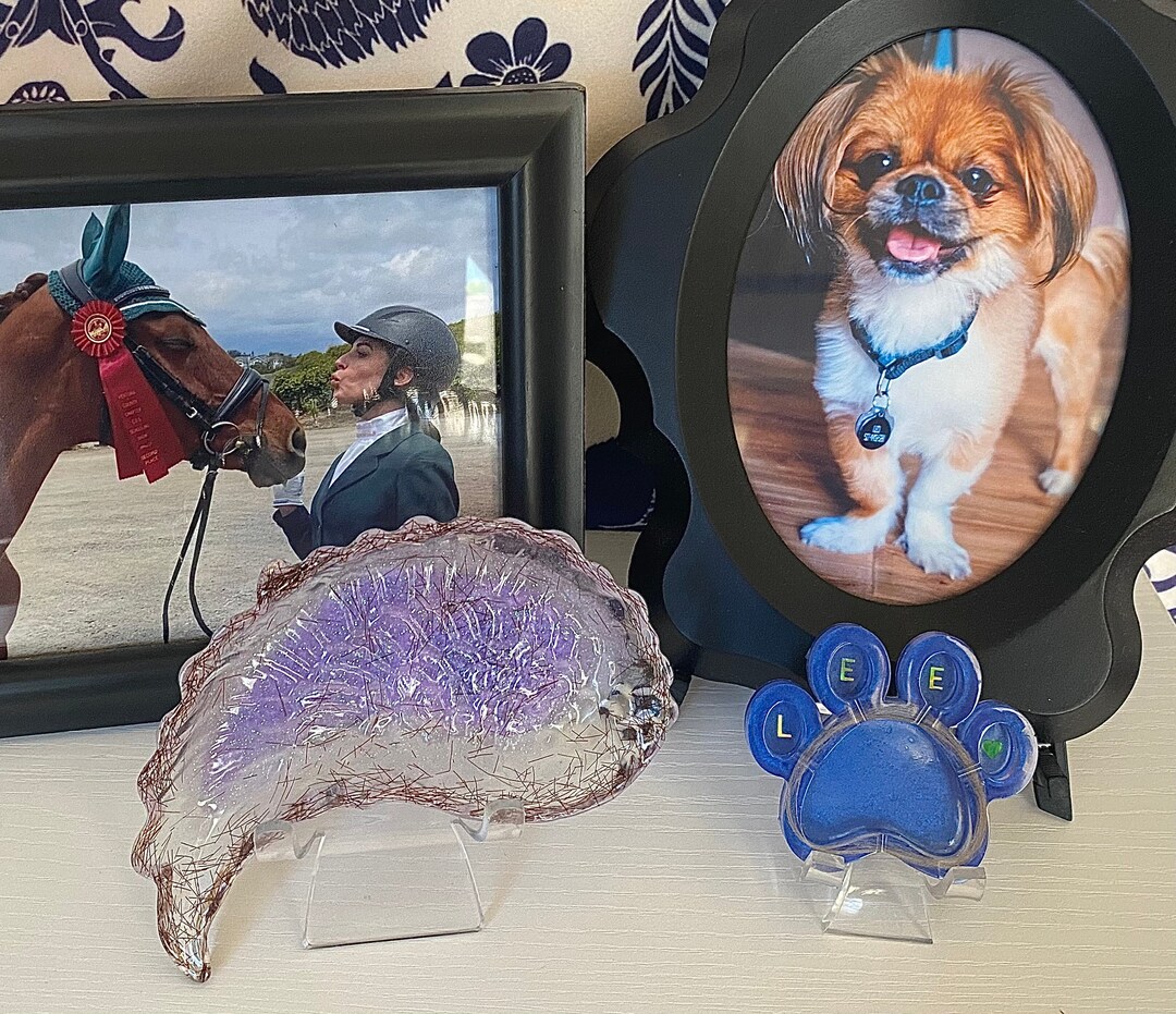 Custom Pet Hair Keepsake / Pet Memorial / Angel Wing Trinket Dish / Paw ...