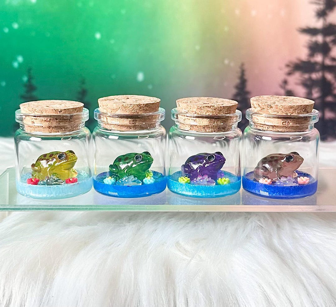 Frog Miniature Desk Pet / the Original Tiny Terrarium Buddies / Pond in ...