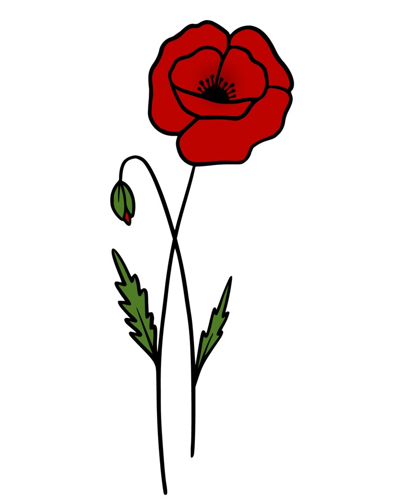 August Birth Flower | Birth Month Flower PNG, Poppy Birth Flower Gift ...