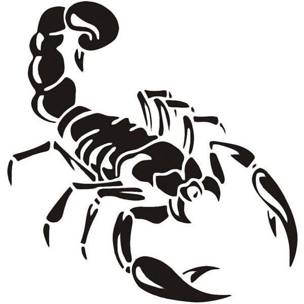 Scorpion Car Decal - Etsy