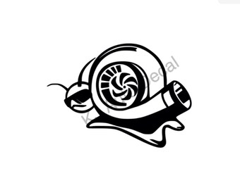Snail Turbo Decal - Etsy