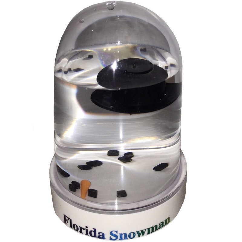 Funny Snow Globe - Etsy