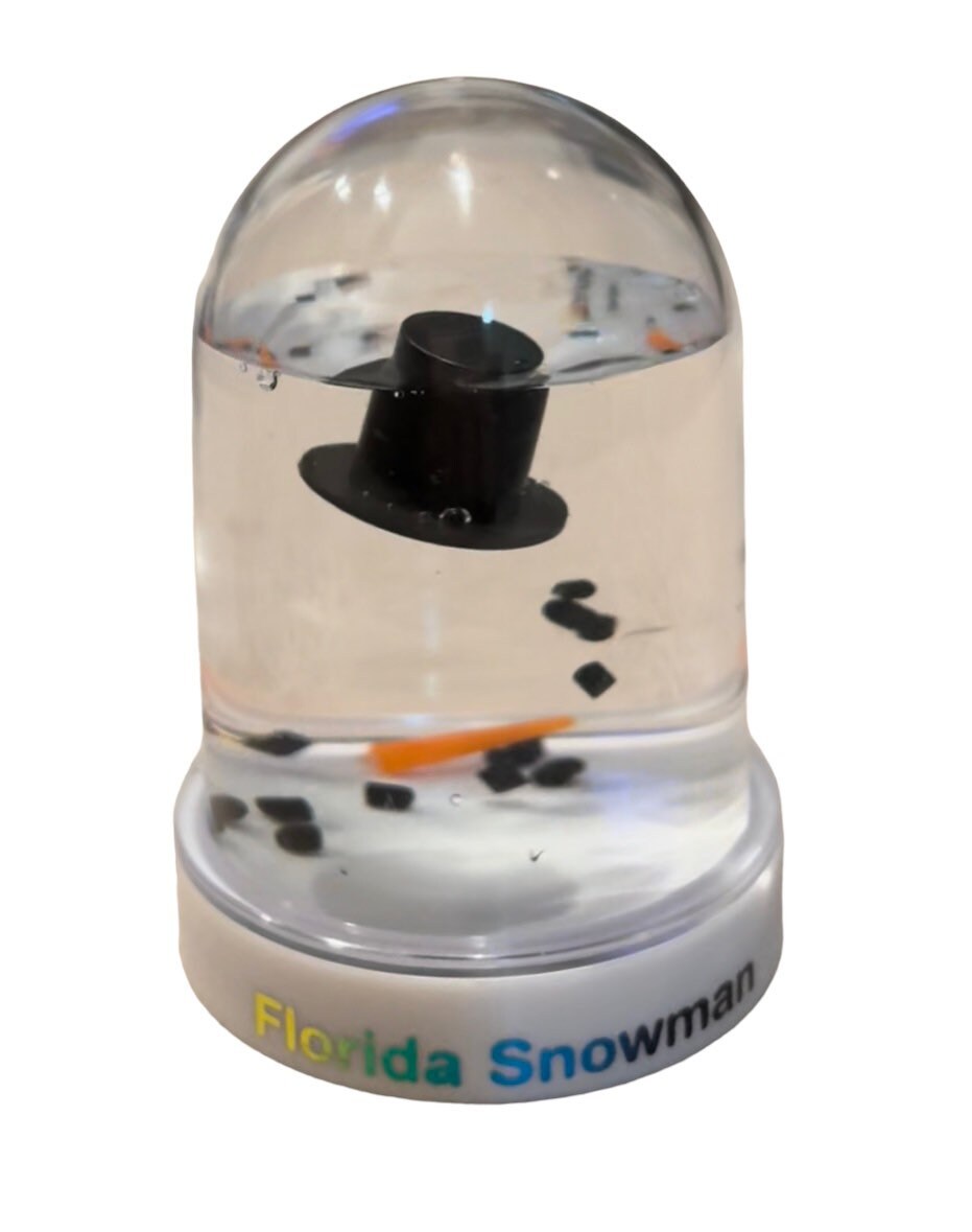 Melted Snowman Snowglobe - Florida, Arizona, California, or Texas Snow ...
