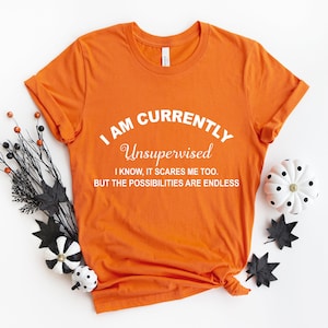I Am Currently Unsupervised, Ladies Shirt, I Know It Scares Me Too ...