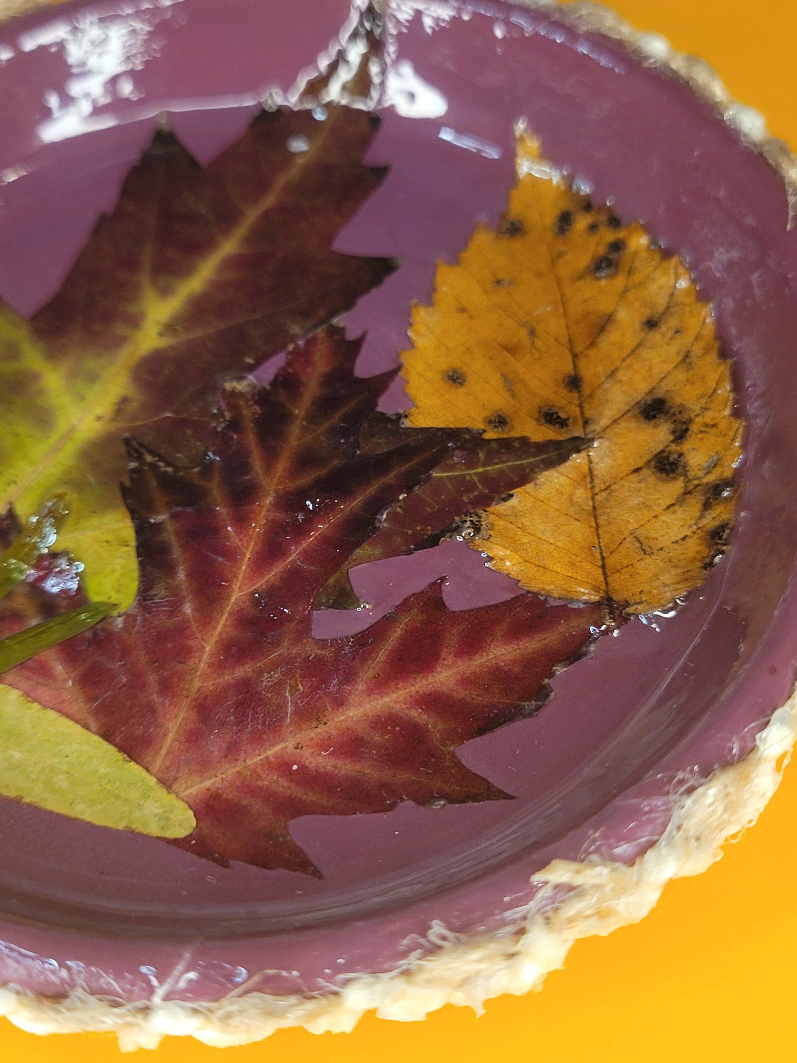 Hand Painted Jewelry Trinket Dish With Real Autumn Leaves - Purple - Etsy