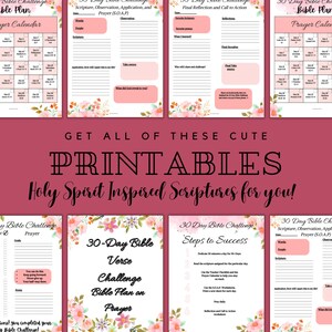 30 Day Bible Challenge, 30 Day Tracker, Bible Reading Plan, Prayer ...