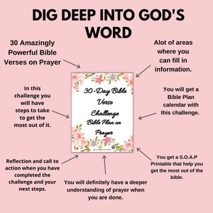 30 Day Bible Challenge, 30 Day Tracker, Bible Reading Plan, Prayer ...