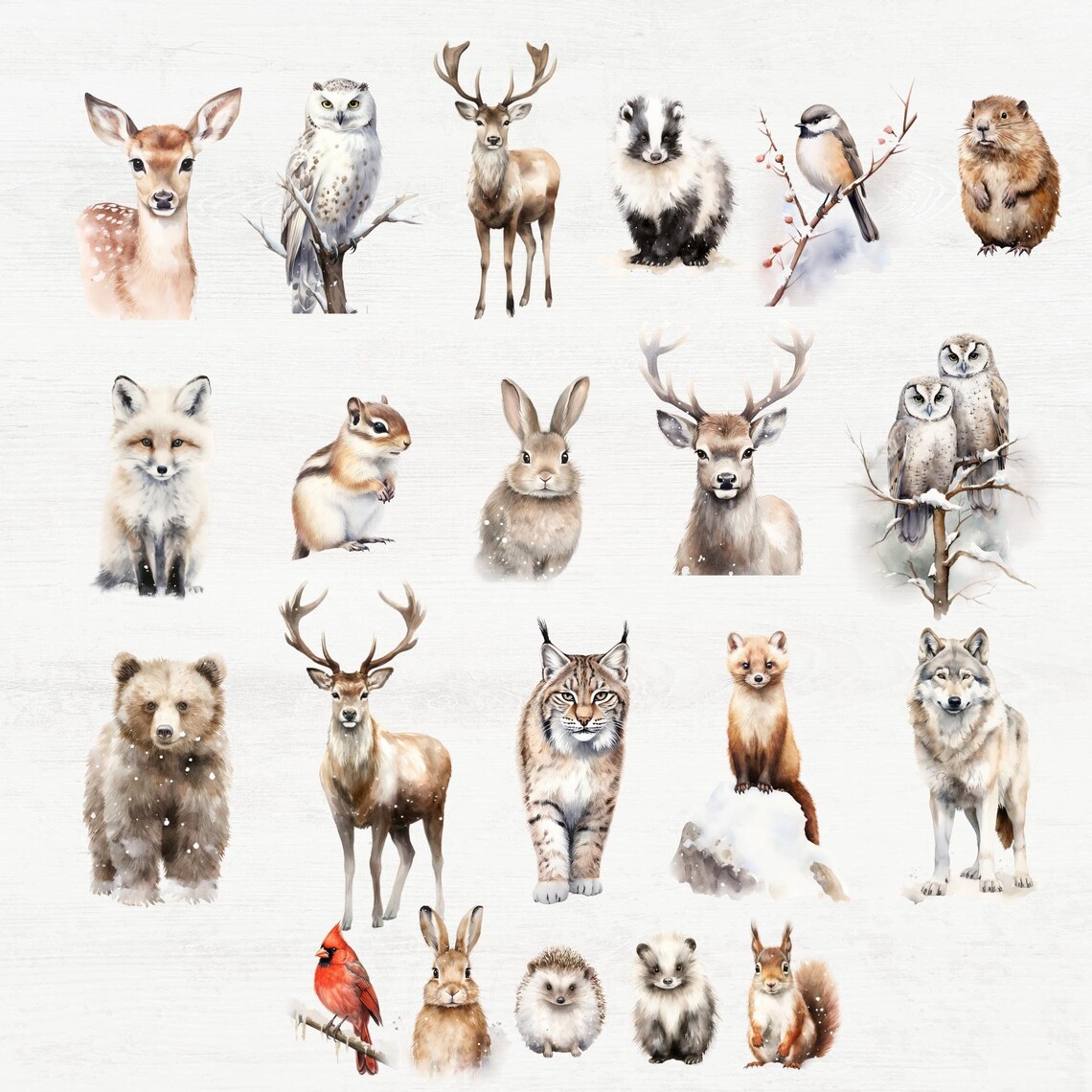Woodland Animals Watercolor Clipart, Woodsy Forest Animals, Winter ...
