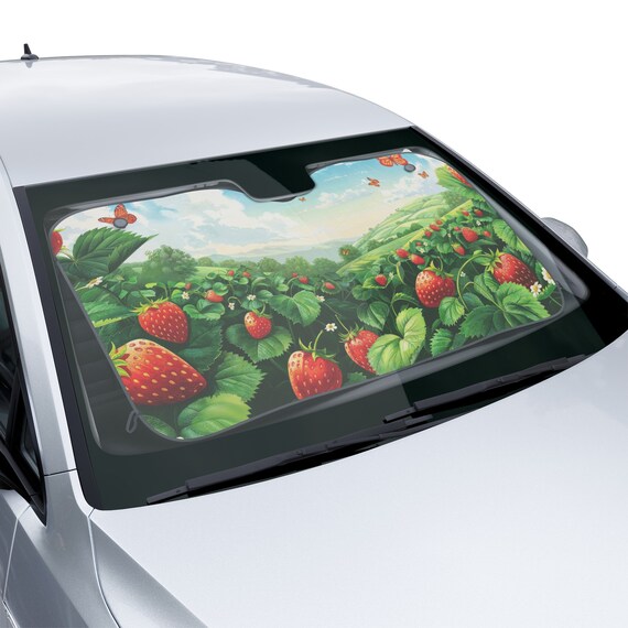 Car sun deflector store