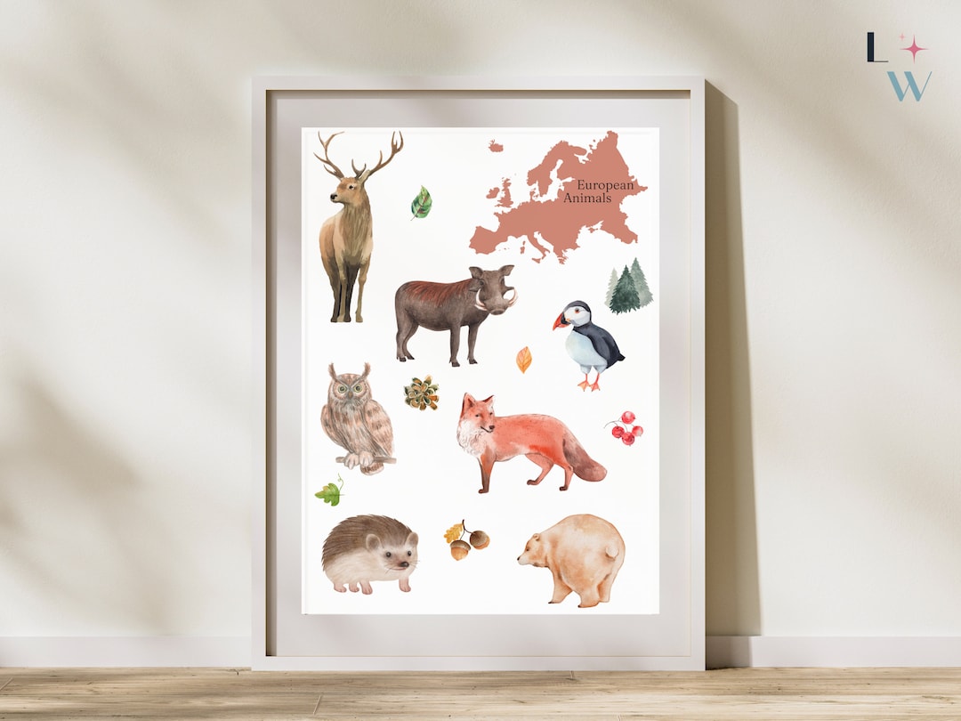 Animal Poster, Animals of the World, World Map, Continent, Nursery ...