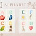 Printable Alphabet Flash Cards, Watercolour Design, Montessori ...