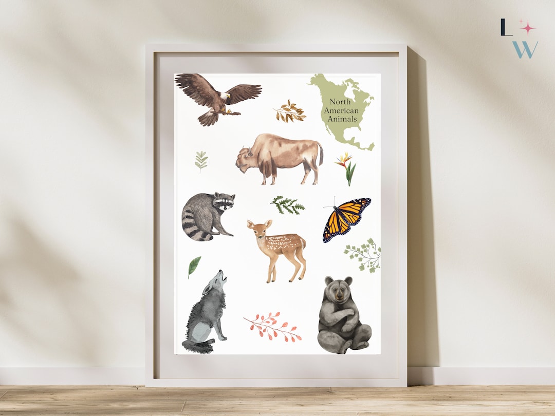 Animal Poster, Educational Print, Continents, Animals of the World ...