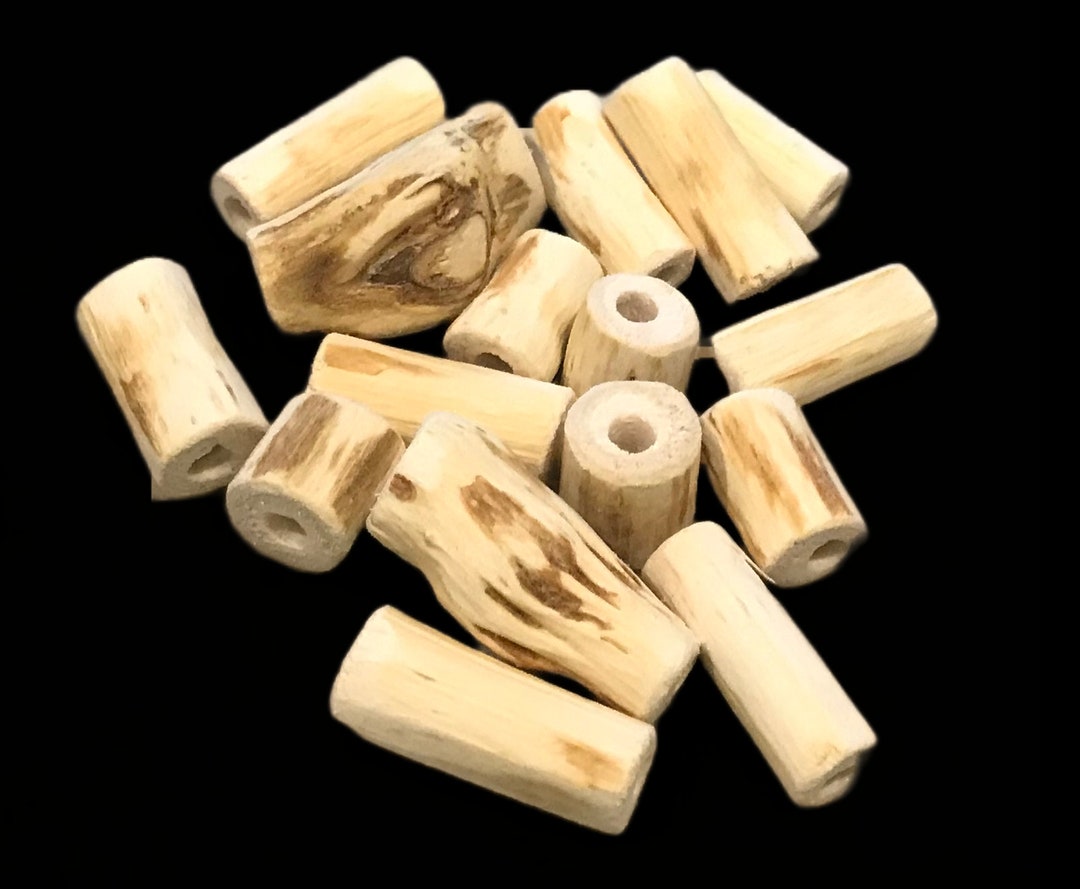 Wild Alaska Devil's Club Beads - Etsy