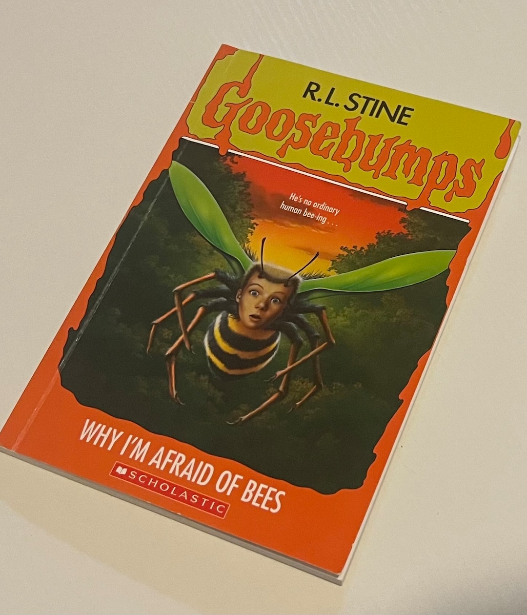 R.L. Stine Goosebumps Why Im Afraid of Bees - Etsy