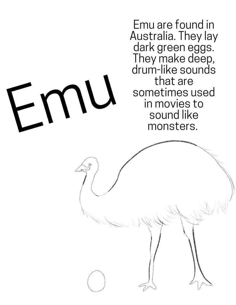 Ratite Coloring and Activity Sheets - Etsy