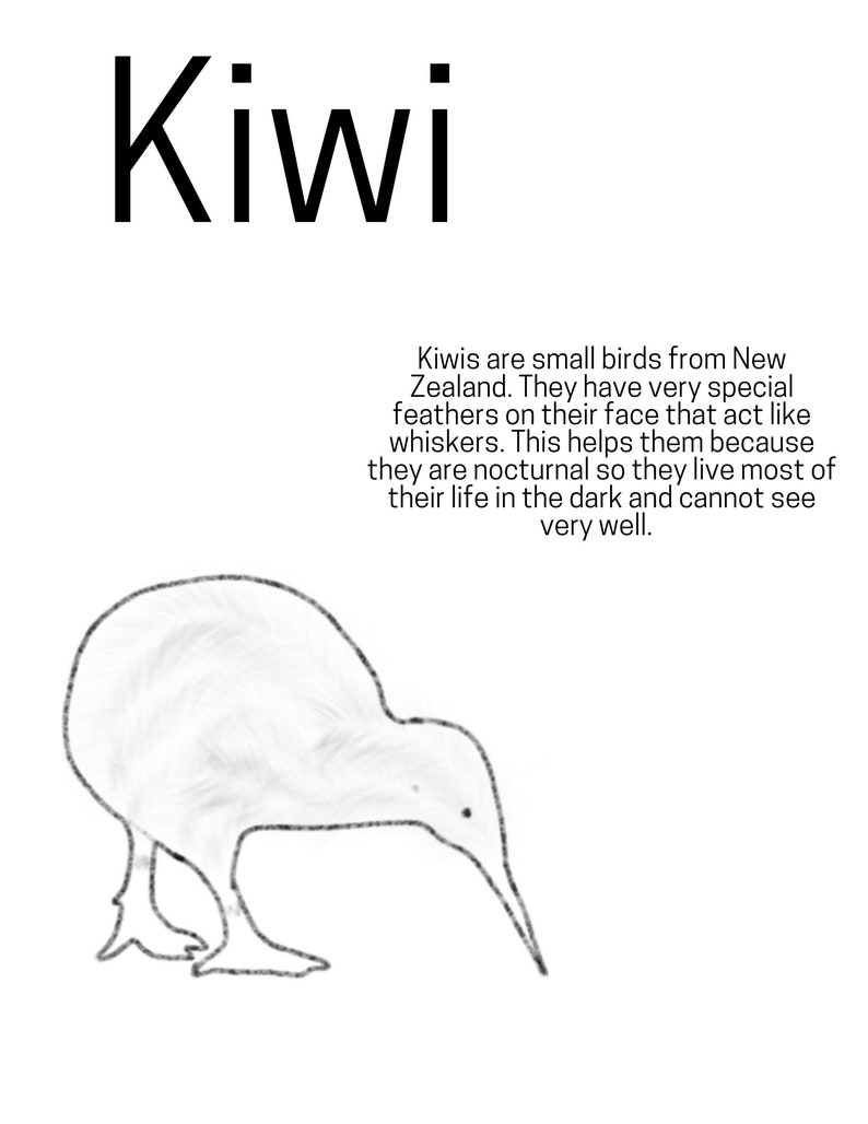 Ratite Coloring and Activity Sheets - Etsy