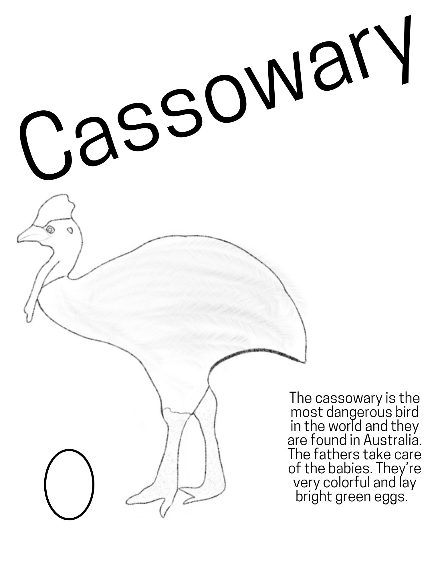 Ratite Coloring and Activity Sheets - Etsy