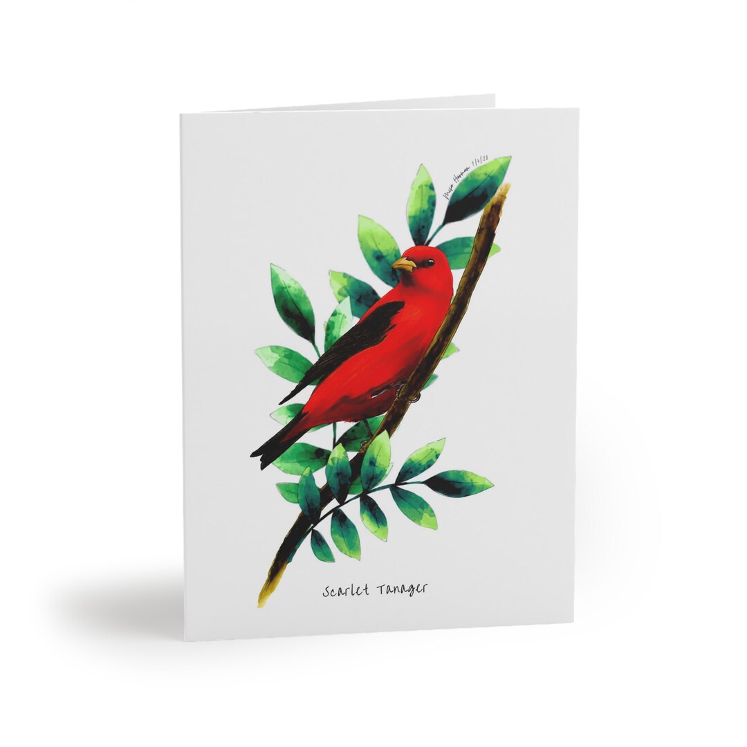 Scarlet Tanager Greeting Cards - Etsy