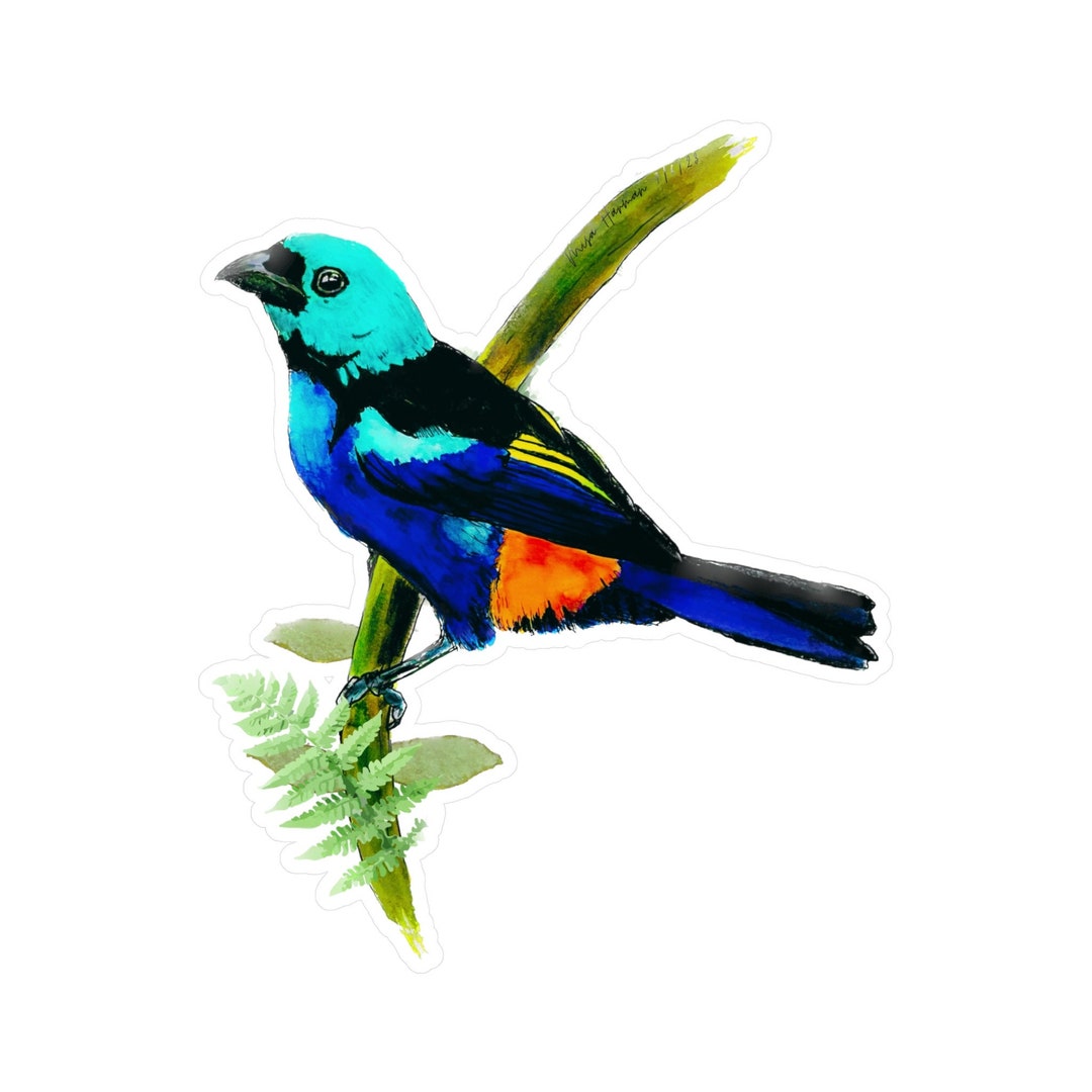 Seven-colored Tanager Vinyl Decal 2 - Etsy