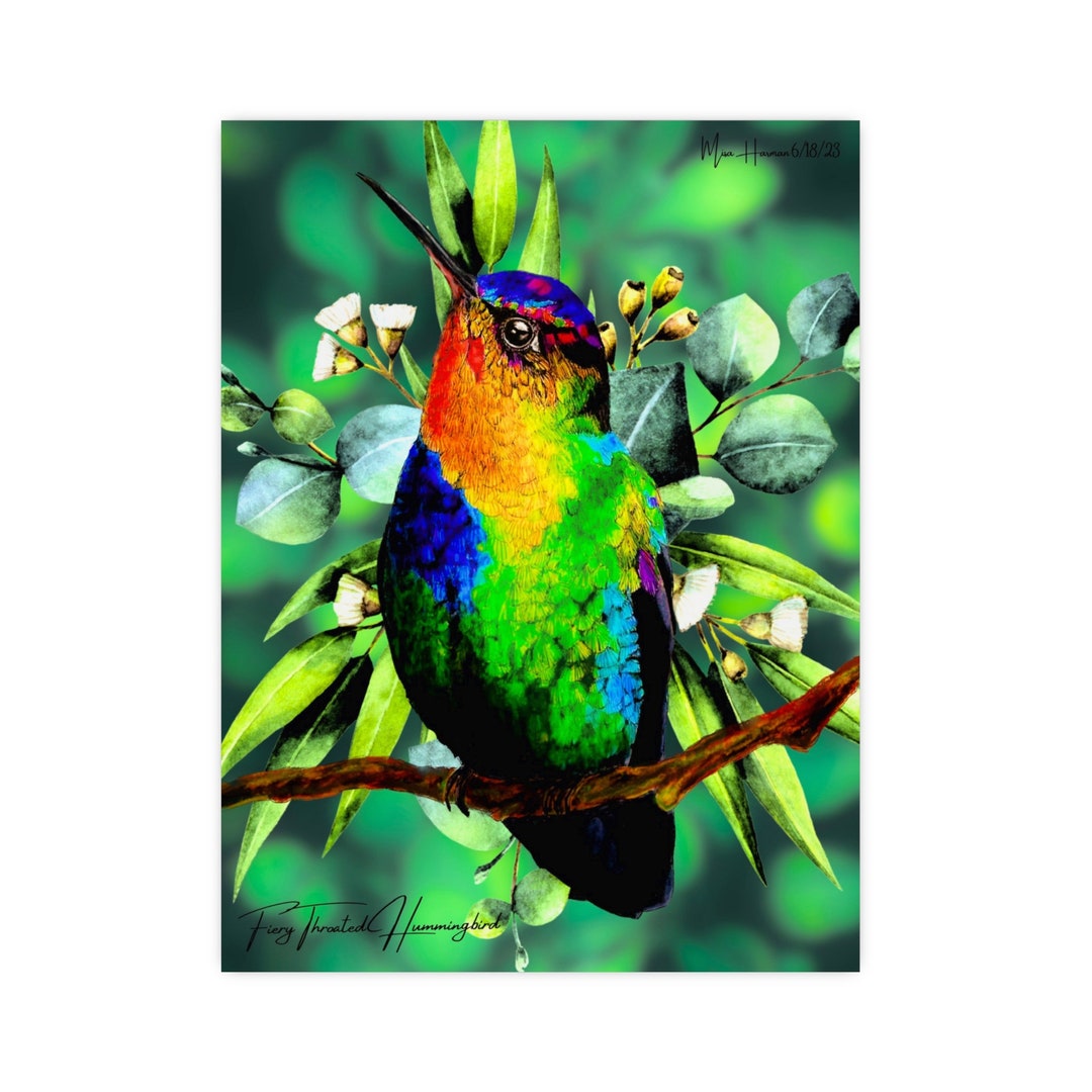 Fiery Throated Hummingbird Poster - Etsy