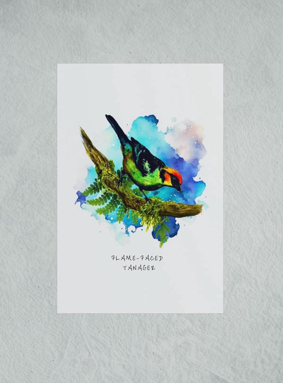 Flame-faced Tanager 1 Fine Art Poster - Etsy