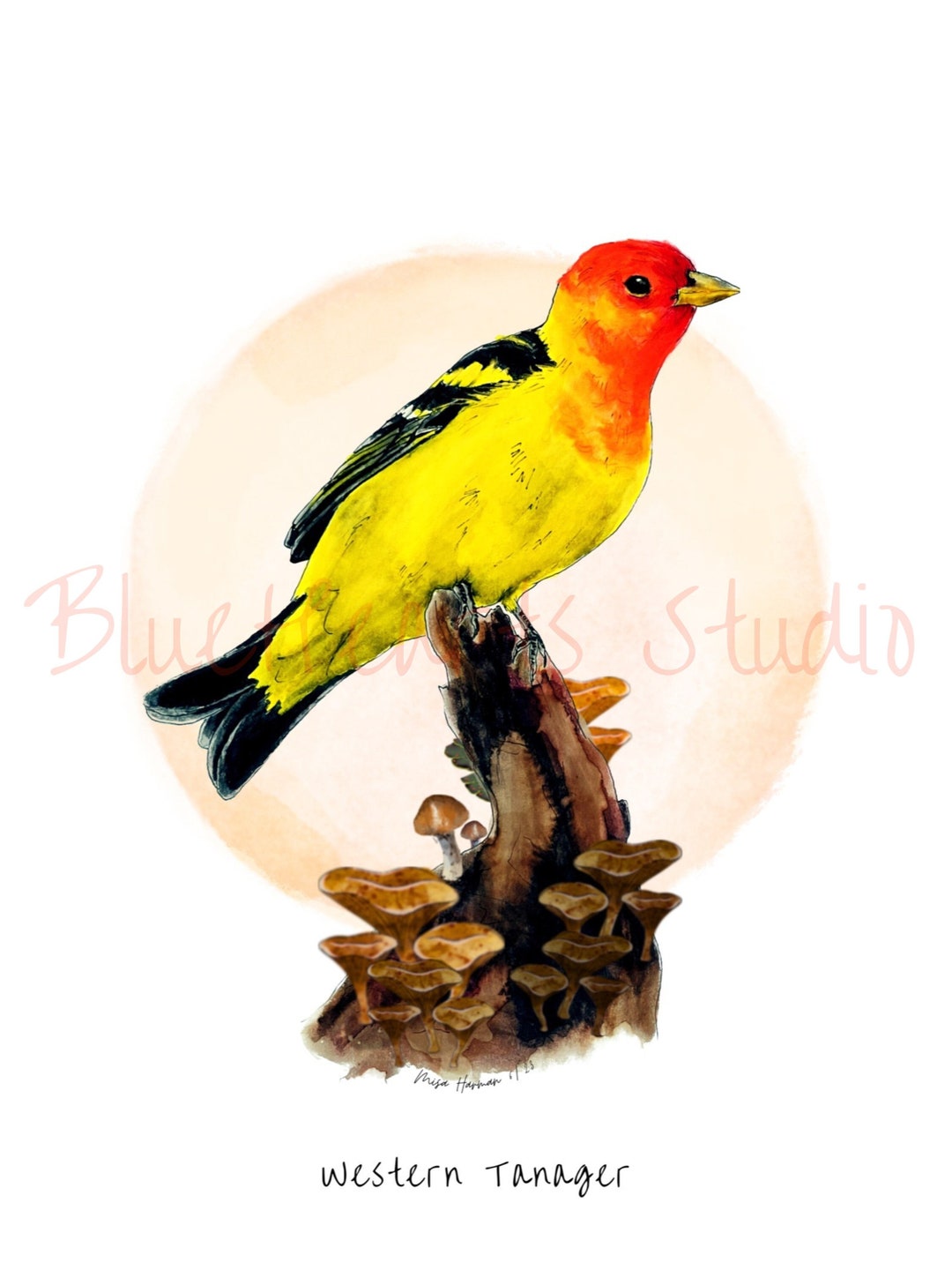 Western Tanager - Etsy
