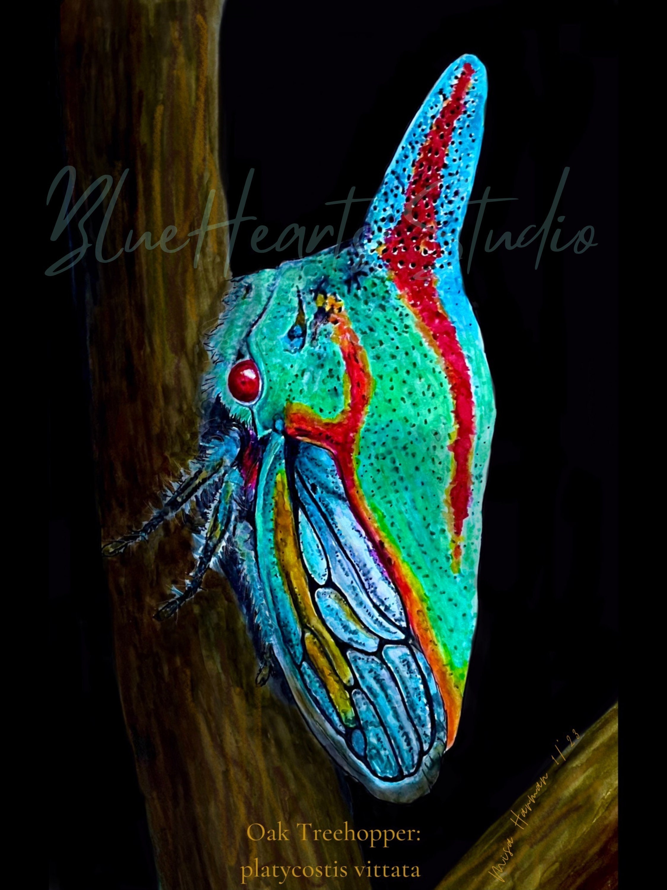 Oak Treehopper - Etsy