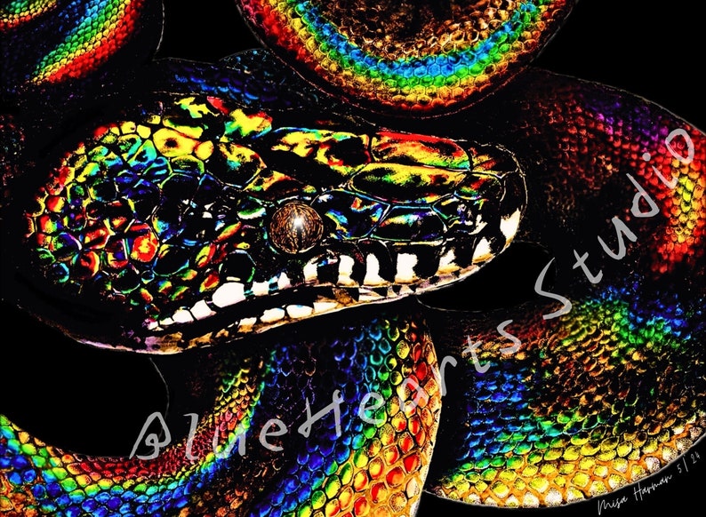 White-lipped Python - Etsy