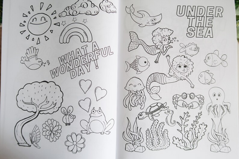 Crazy Shenanigans Coloring Book - Etsy