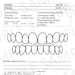 Grillz Order Form (PDF) - Etsy