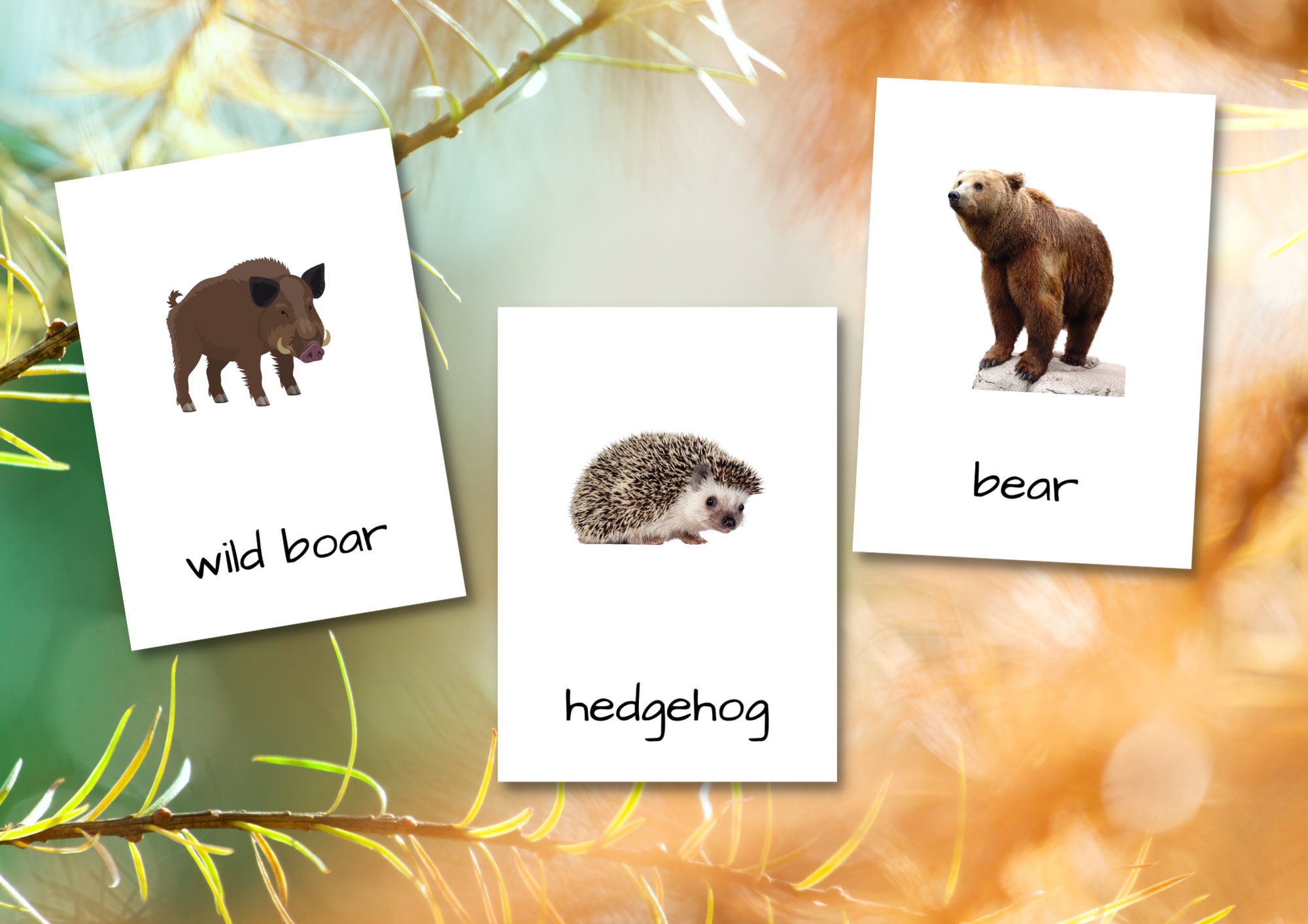 Woodland Animals Flash Cards for Kids Learning Printables - Etsy