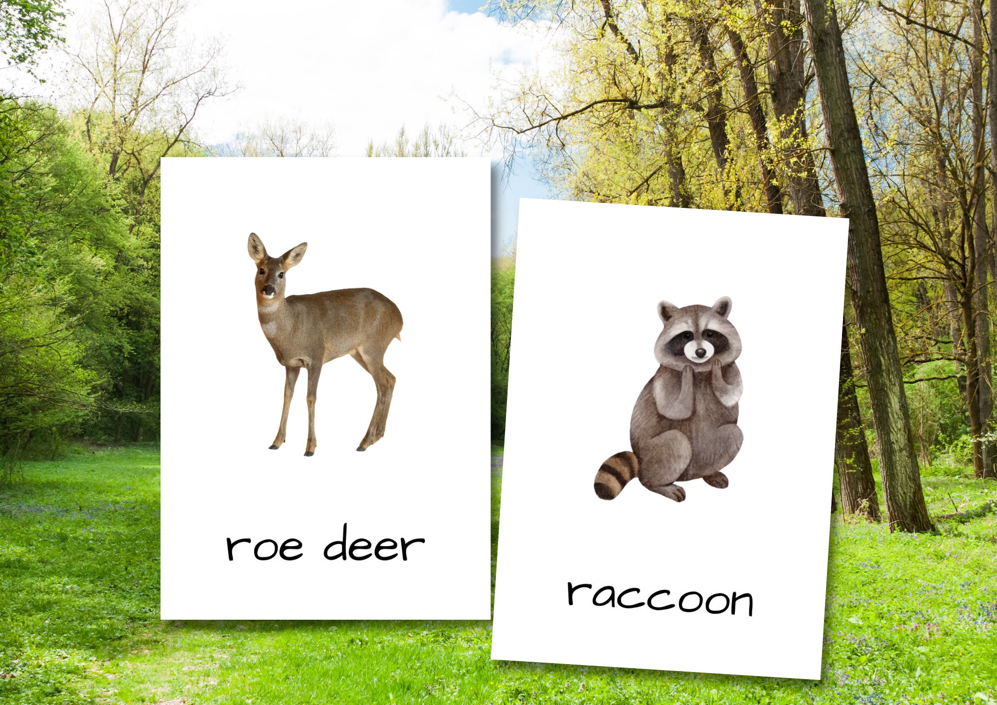 Woodland Animals Flash Cards for Kids Learning Printables - Etsy