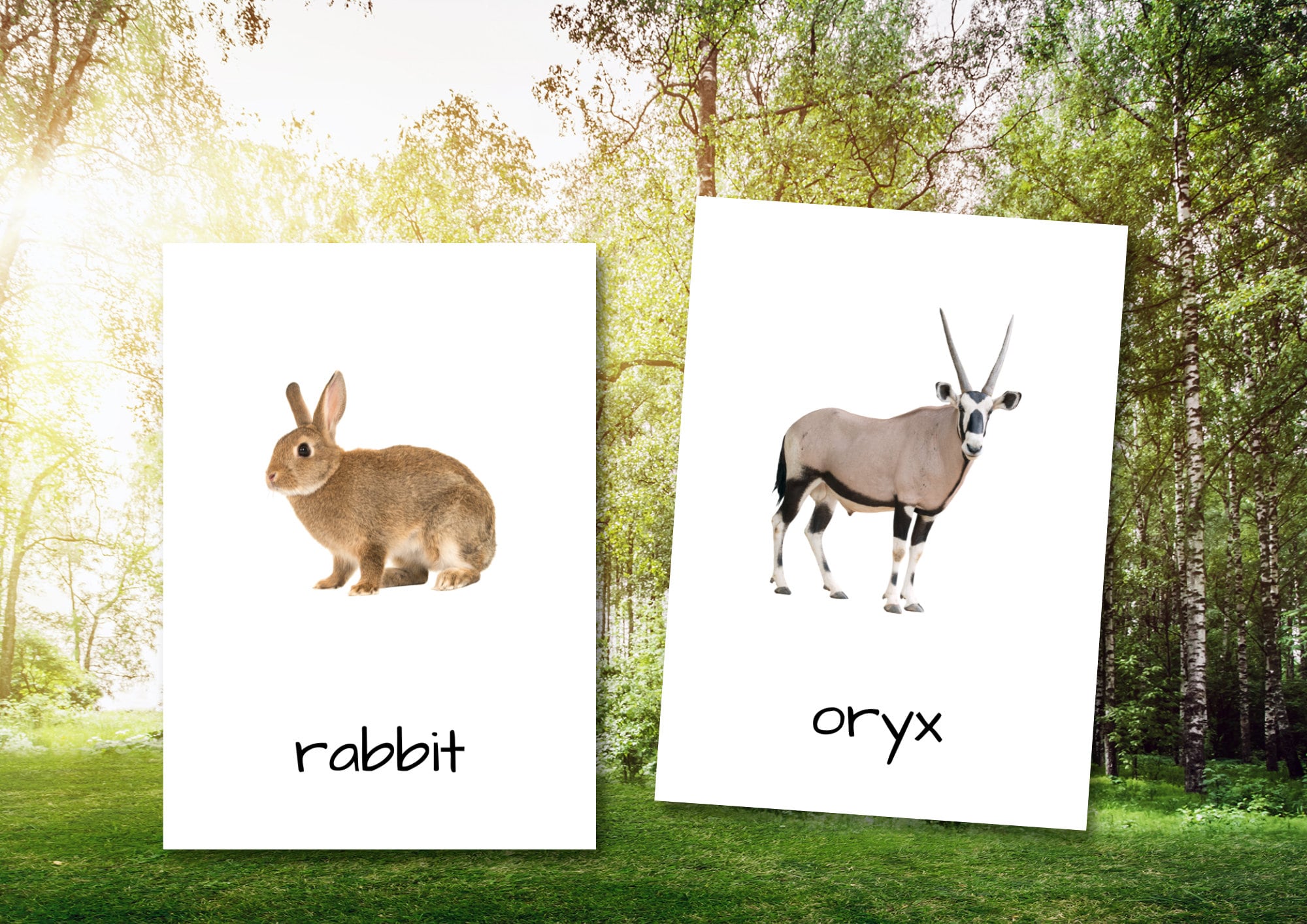 Woodland Animals Flash Cards for Kids Learning Printables - Etsy