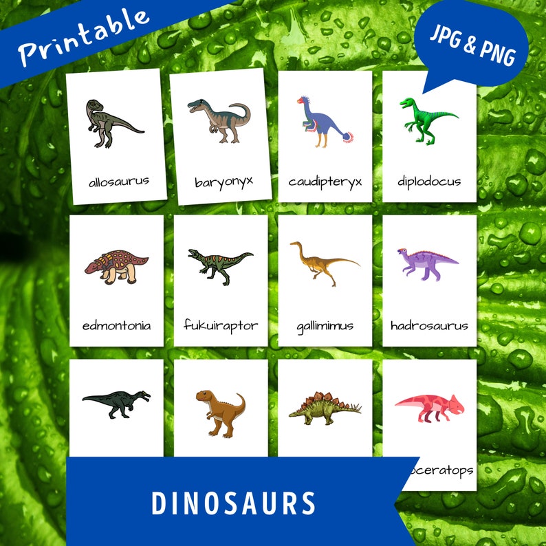 12 Dinosaur Flash Cards Printable Homeschool Preschool - Etsy
