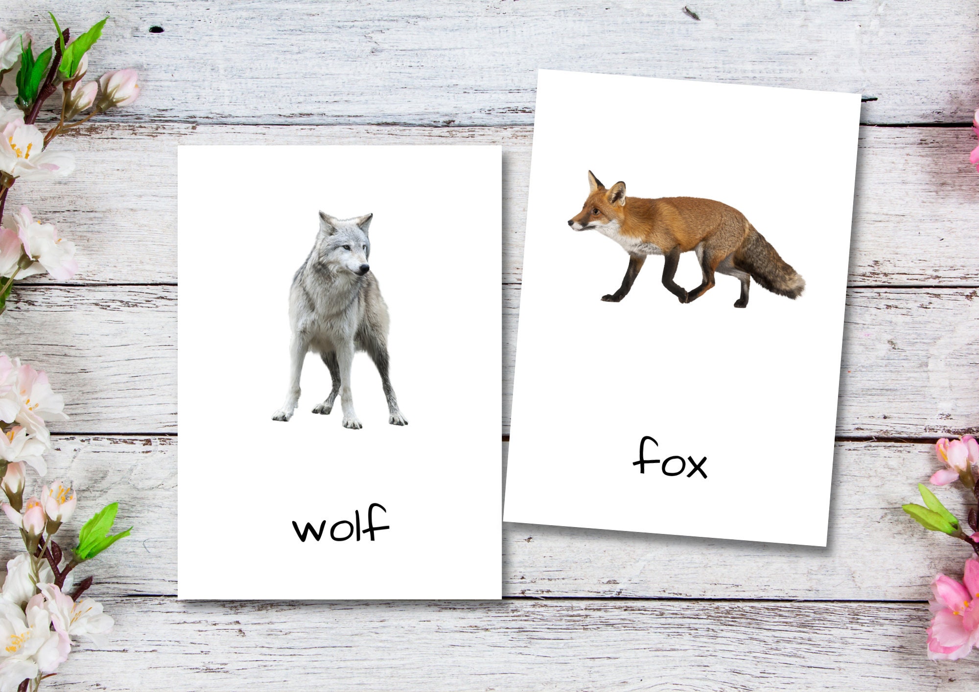 Woodland Animals Flash Cards for Kids Learning Printables - Etsy