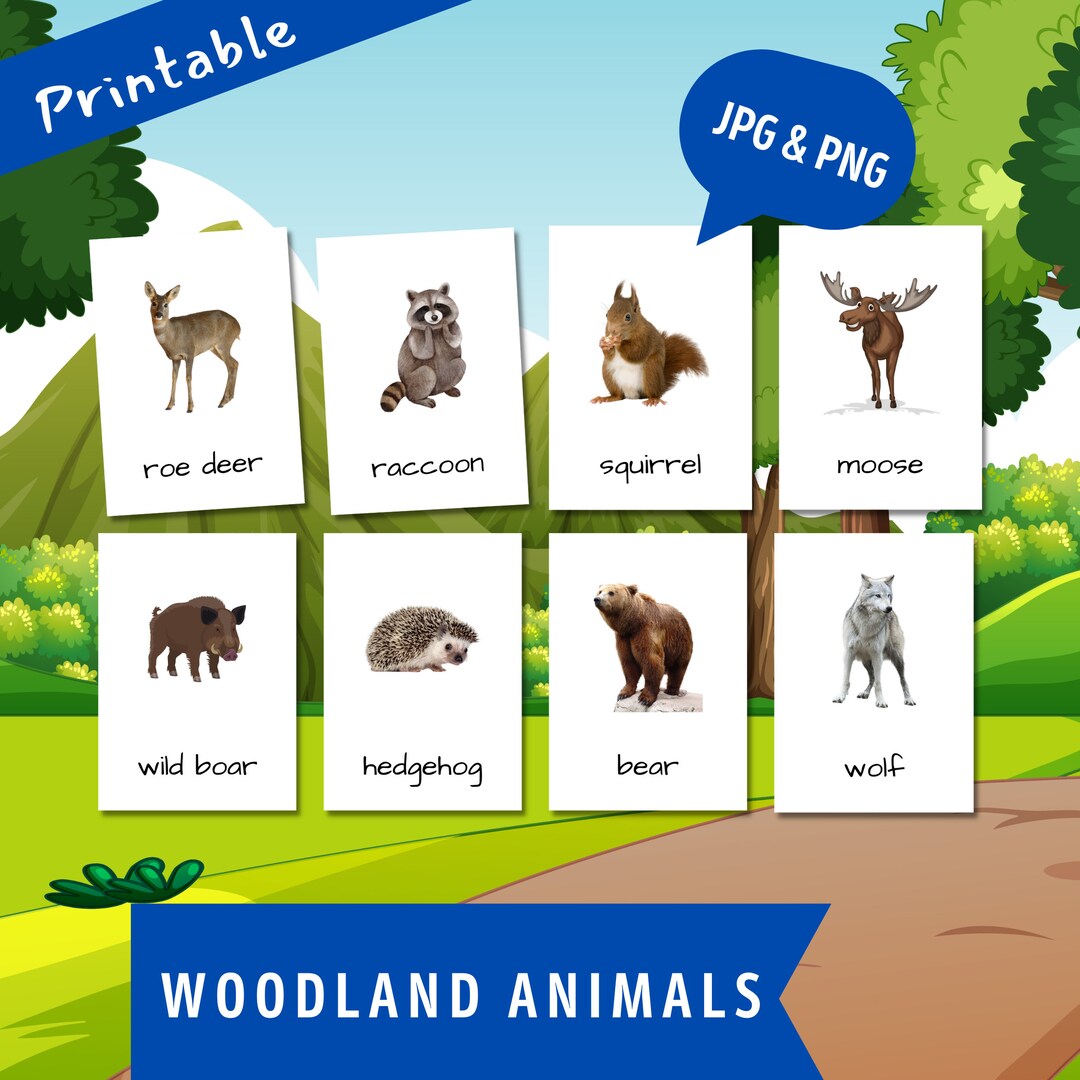 Woodland Animals Flash Cards for Kids Learning Printables - Etsy
