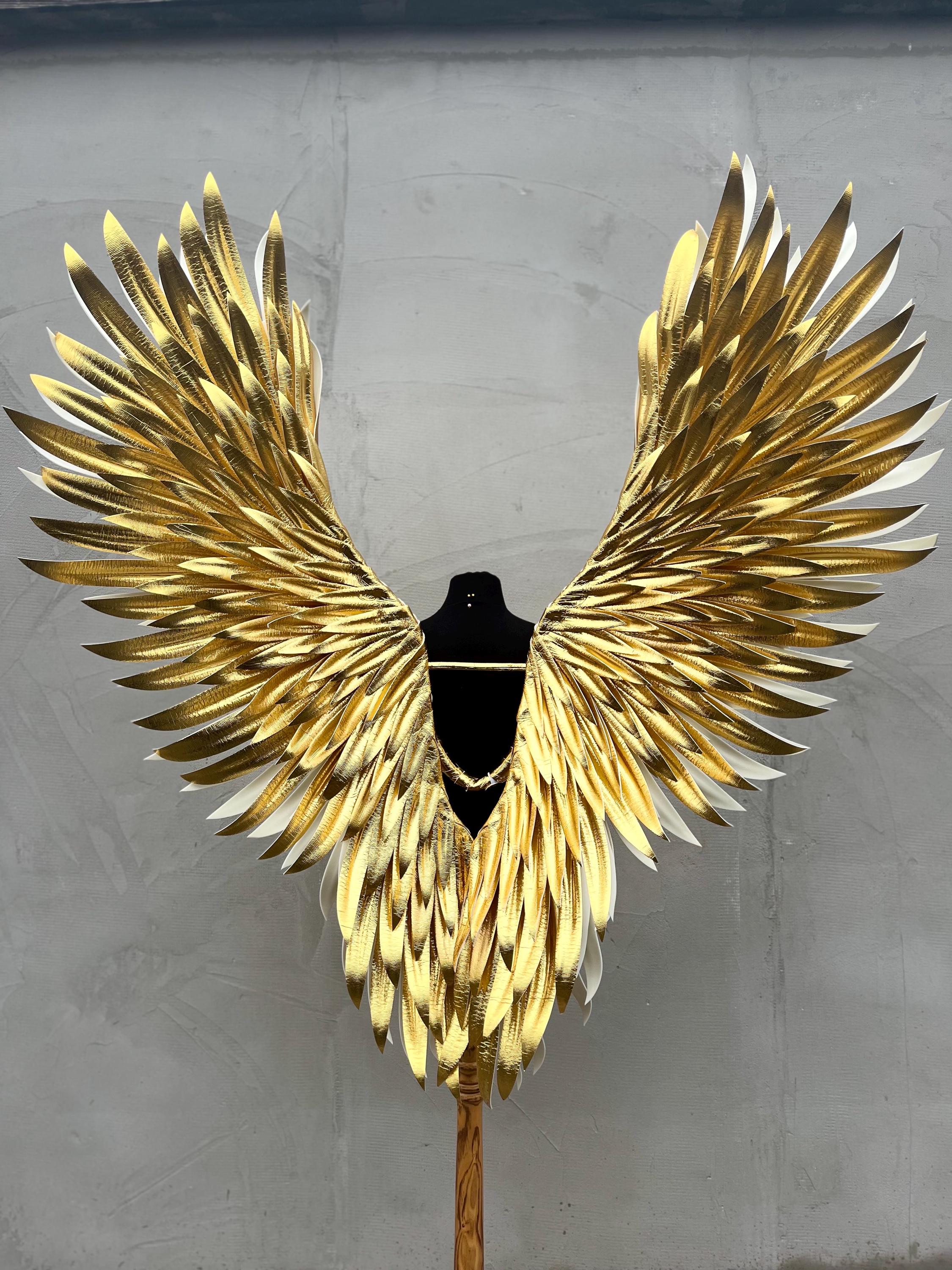 Large Golden or Silver Angel Wings,angel Wings for Show, Gold or Silver ...