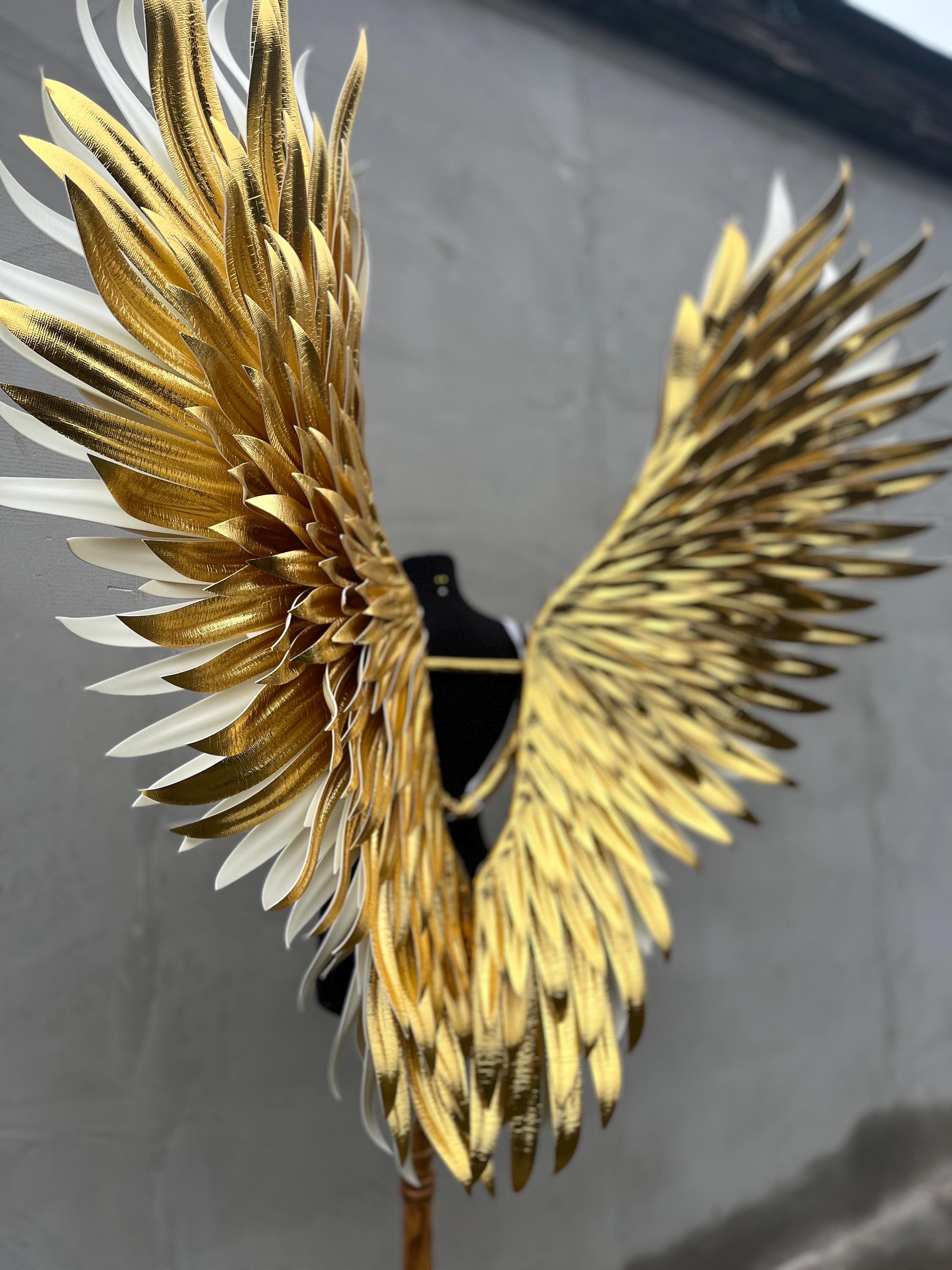 Large Golden or Silver Angel Wings,angel Wings for Show, Gold or Silver ...