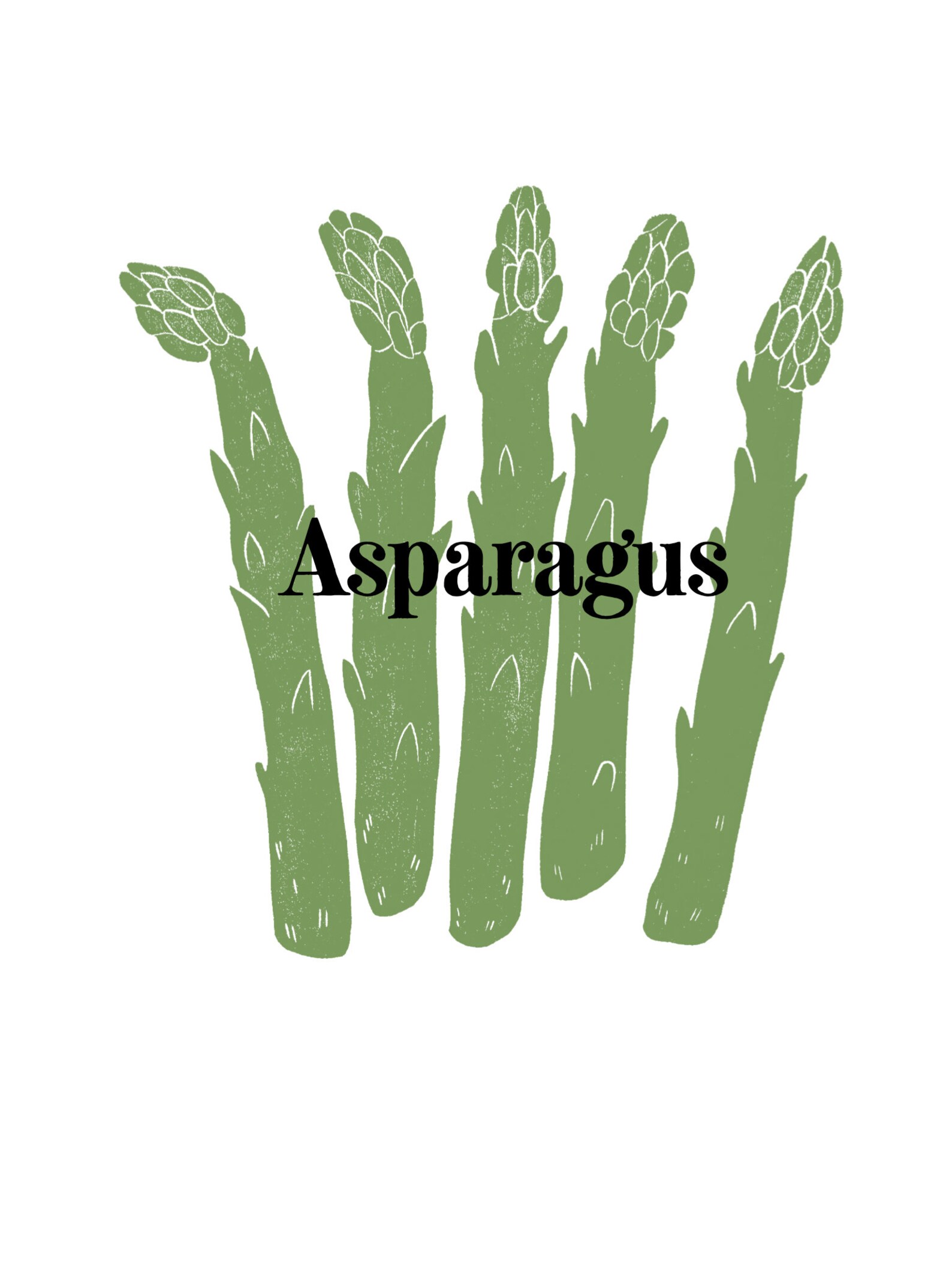 Asparagus Instant Printable Digital Download - Etsy