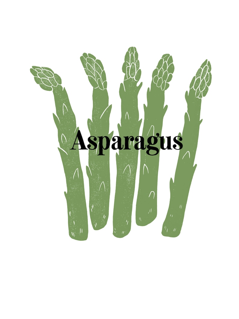 Asparagus Instant Printable Digital Download - Etsy