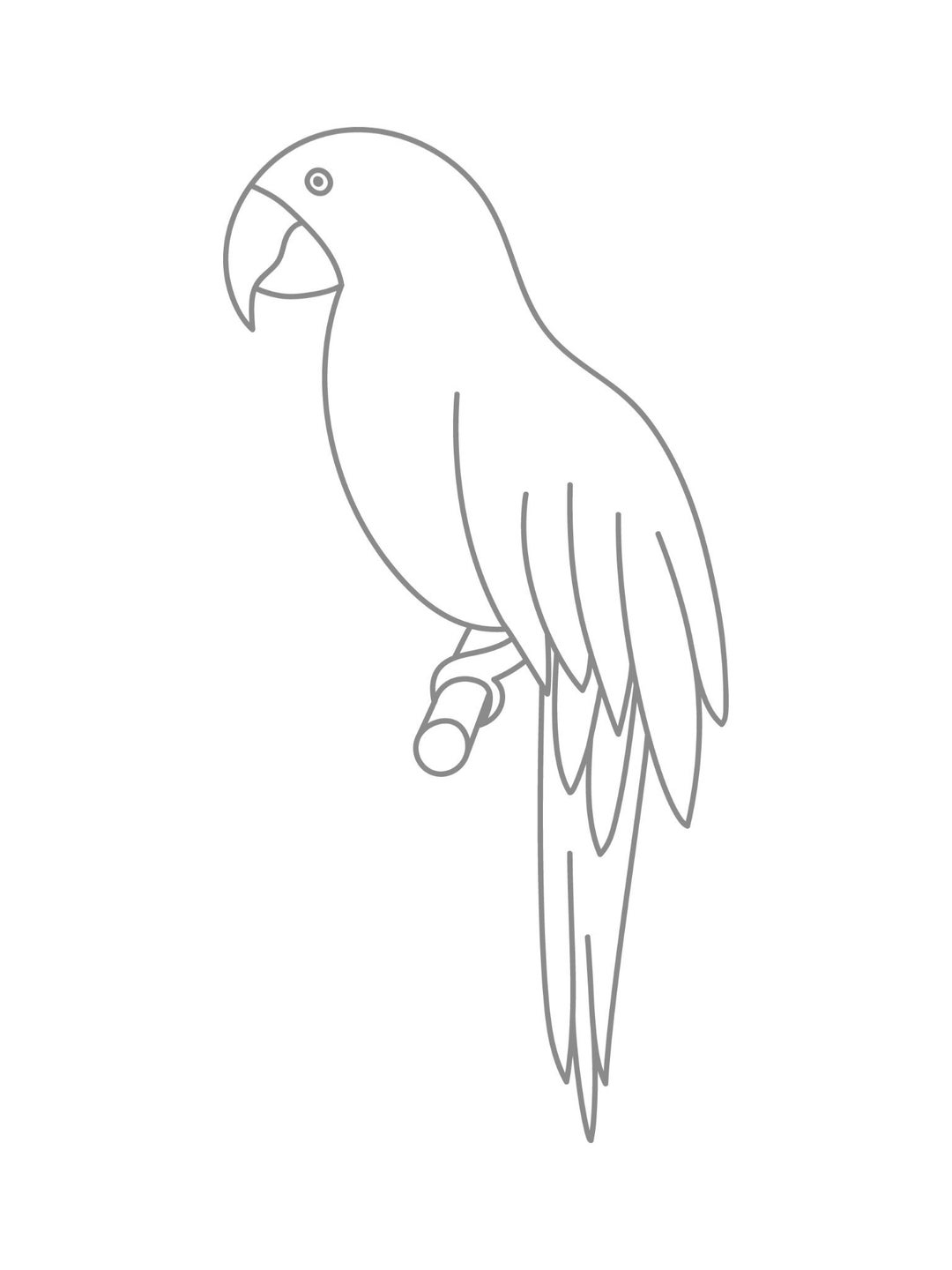 Parrot Colouring Sheet Instant Printable Digital Download - Etsy