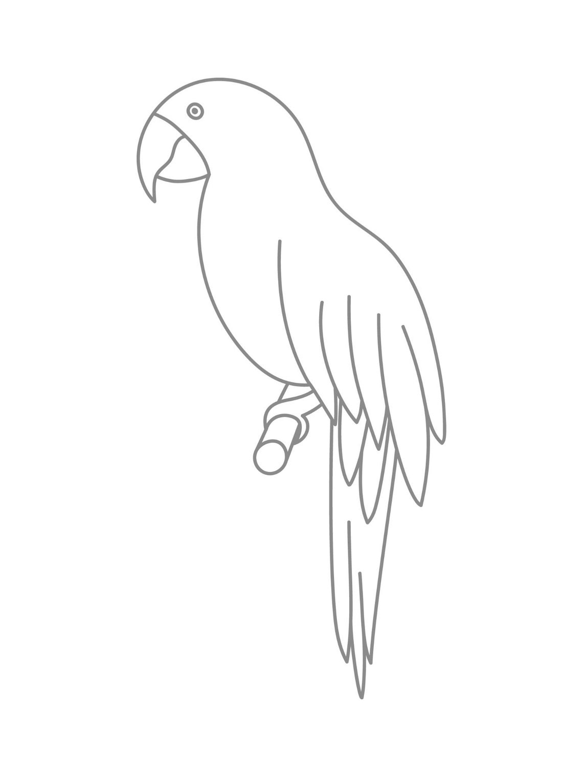 Parrot Colouring Sheet Instant Printable Digital Download - Etsy