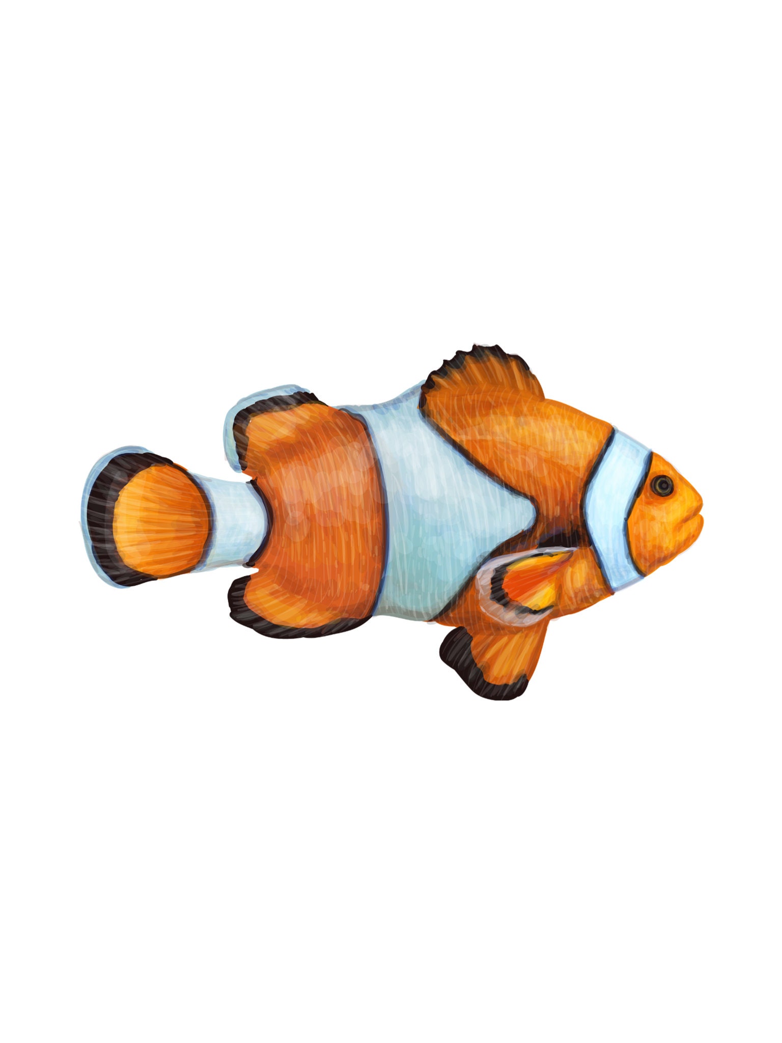 Clown Fish Instant Printable Digital Download - Etsy