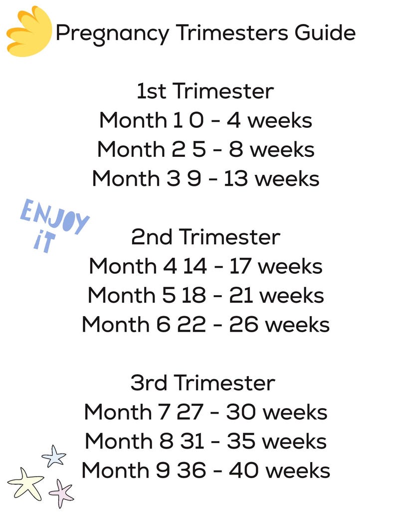 Pregnancy, Trimesters, 9 Months, Printable, Fertility, 3 Months ...