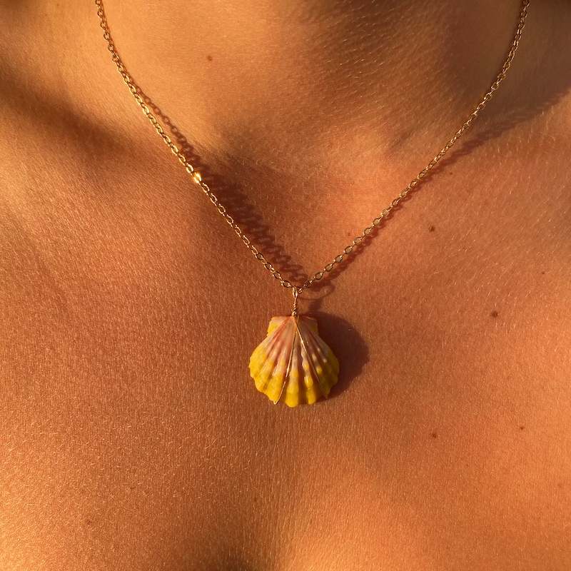 Shell Necklace - Etsy