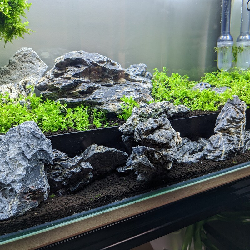 Aquarium Cave - Etsy