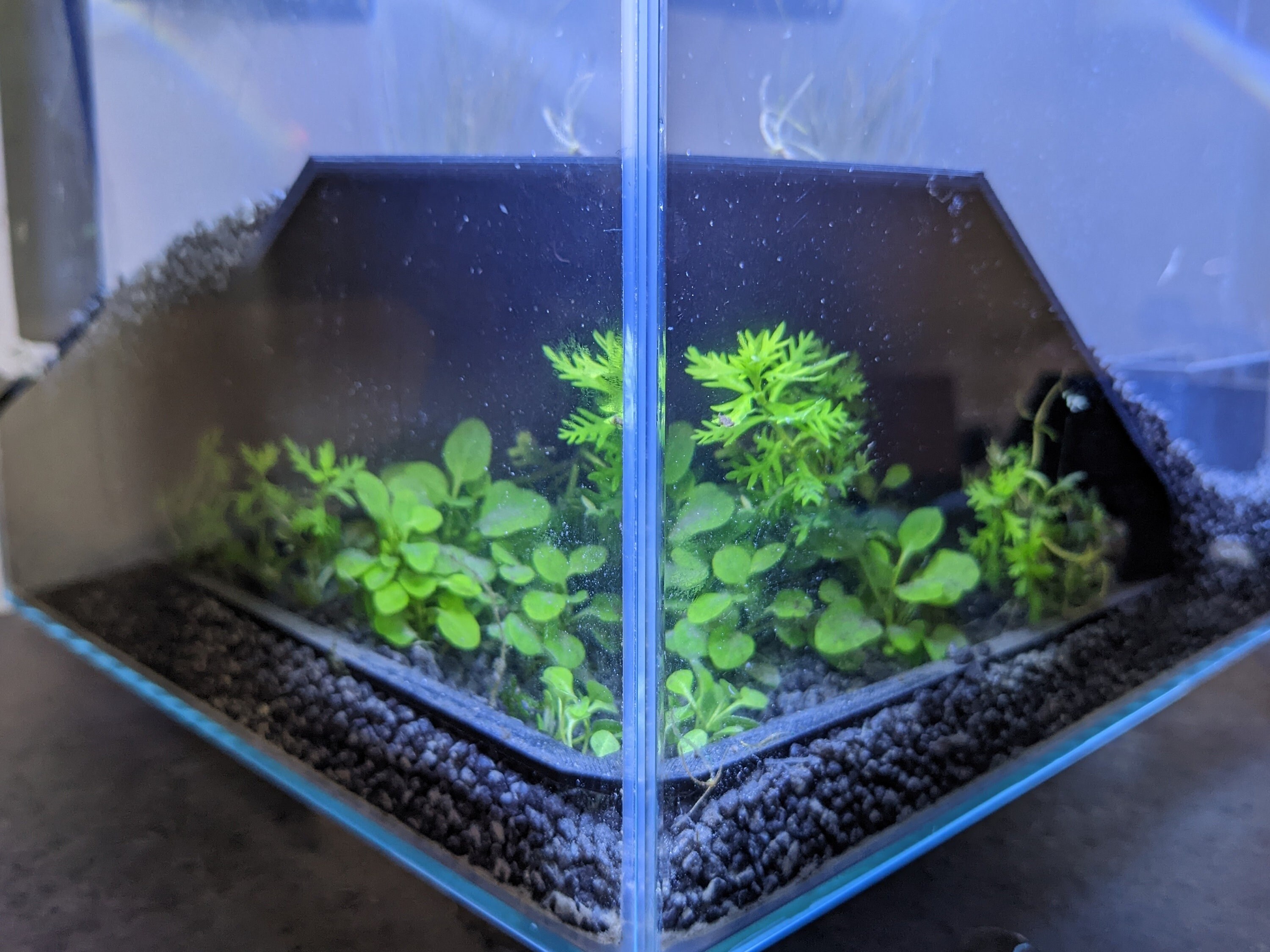 Pyramid Corner Underground Cave for Aquarium - Etsy