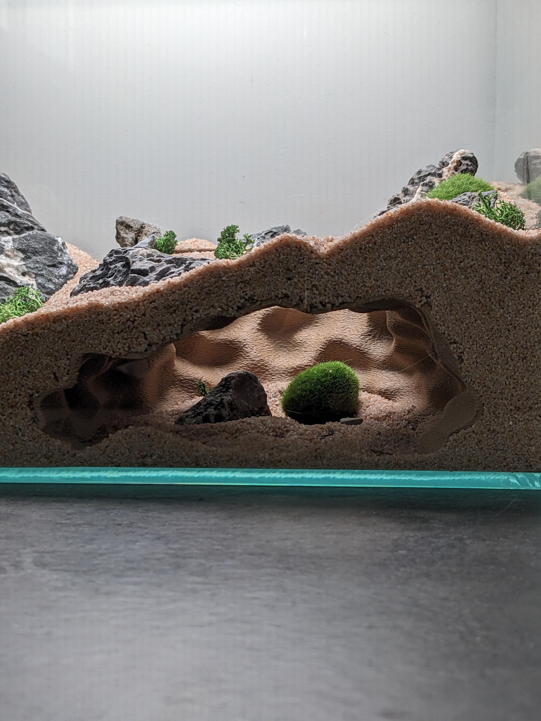 NEW! Aquarium/terrarium Rock Den - Etsy